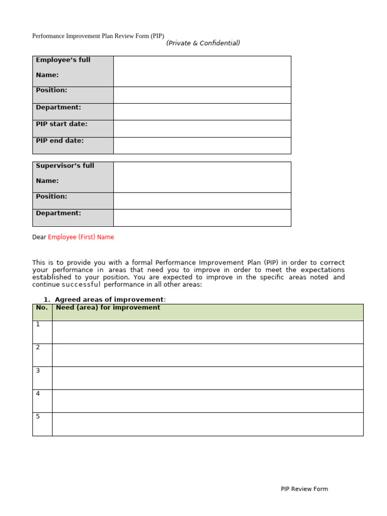 Performance Improvement Plan Overview | PDF | Business