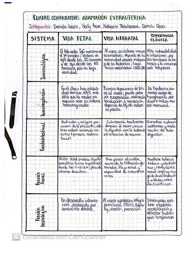 Cuadro Comparativo Trabajo Grupal | PDF
