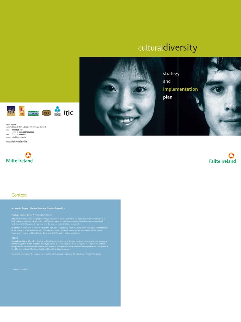 Cultural Diversity Strategy and Implementation Plan | PDF ...