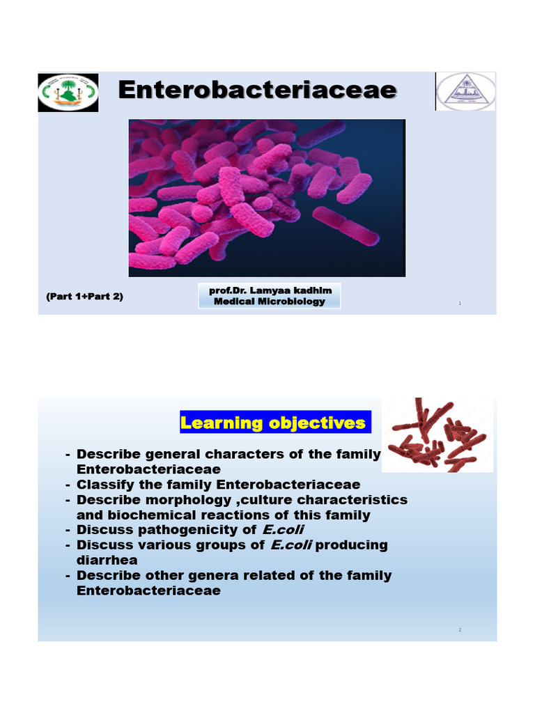 Overview of Enterobacteriaceae Family | PDF | Escherichia Coli ...