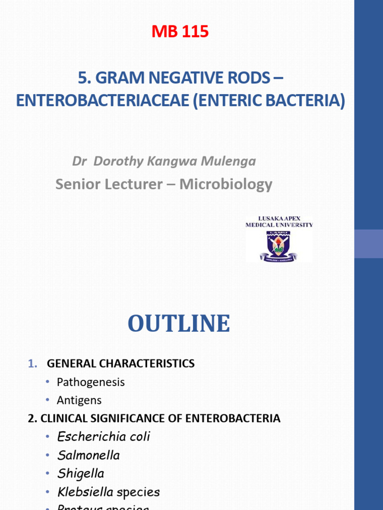 Gram Negative Rods - Enterobacteriaceae | PDF | Salmonella ...