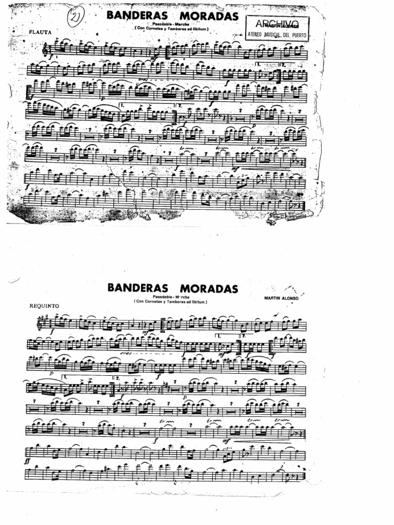 Banderas Moradas | PDF
