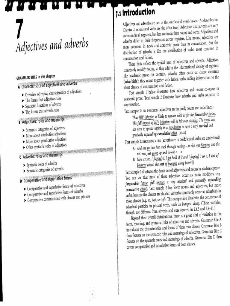 Lectura ADA 7. Adjectives Part 1 | PDF