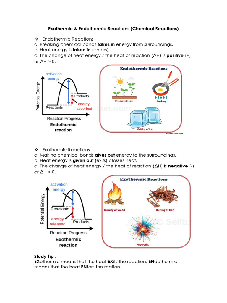 Chemistry Endothermic and Exothermic Reactions PDF | PDF
