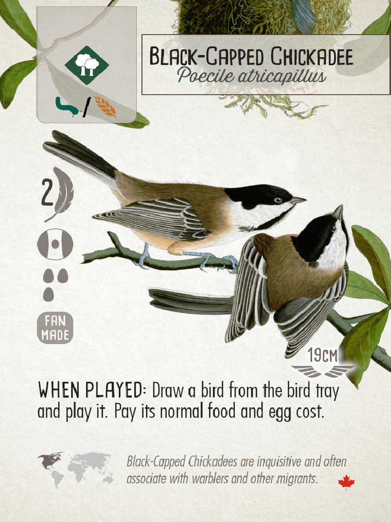 Birds of Canada Cards 20231031 Compressed | PDF