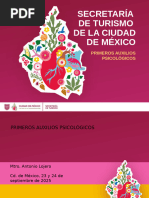 CHECKLIST DIBUJADO_20251127_162230_0000 | PDF