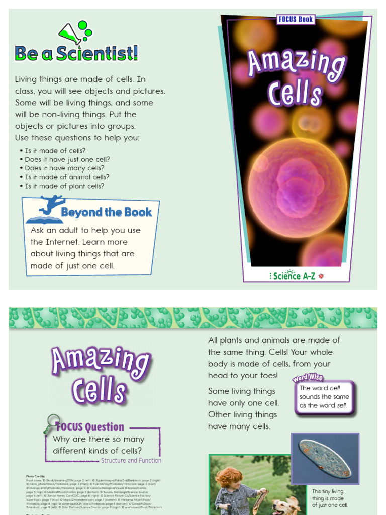 09.livingnonliving K-2 Focus Book Amazing Cells | PDF | Skin | Frog