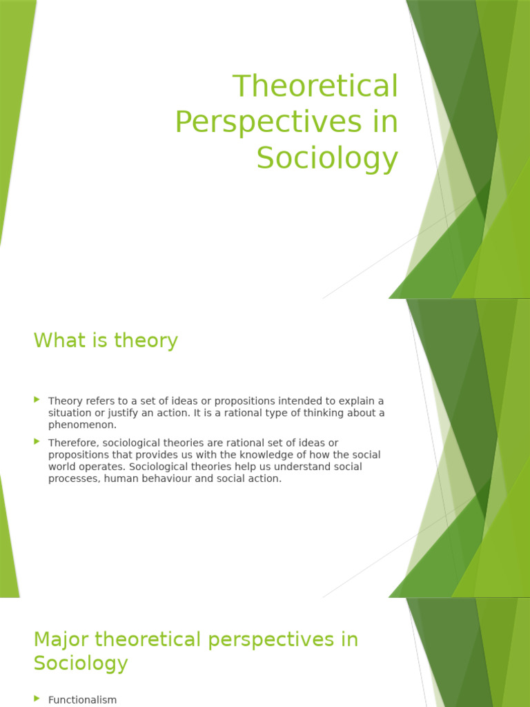 Theoretical Perspectives in Sociology | PDF | Scientific Theories ...