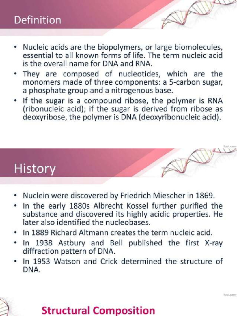Nucleic Acids | PDF