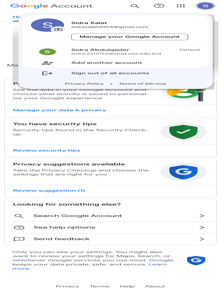 Manage Your Google Privacy Settings | PDF