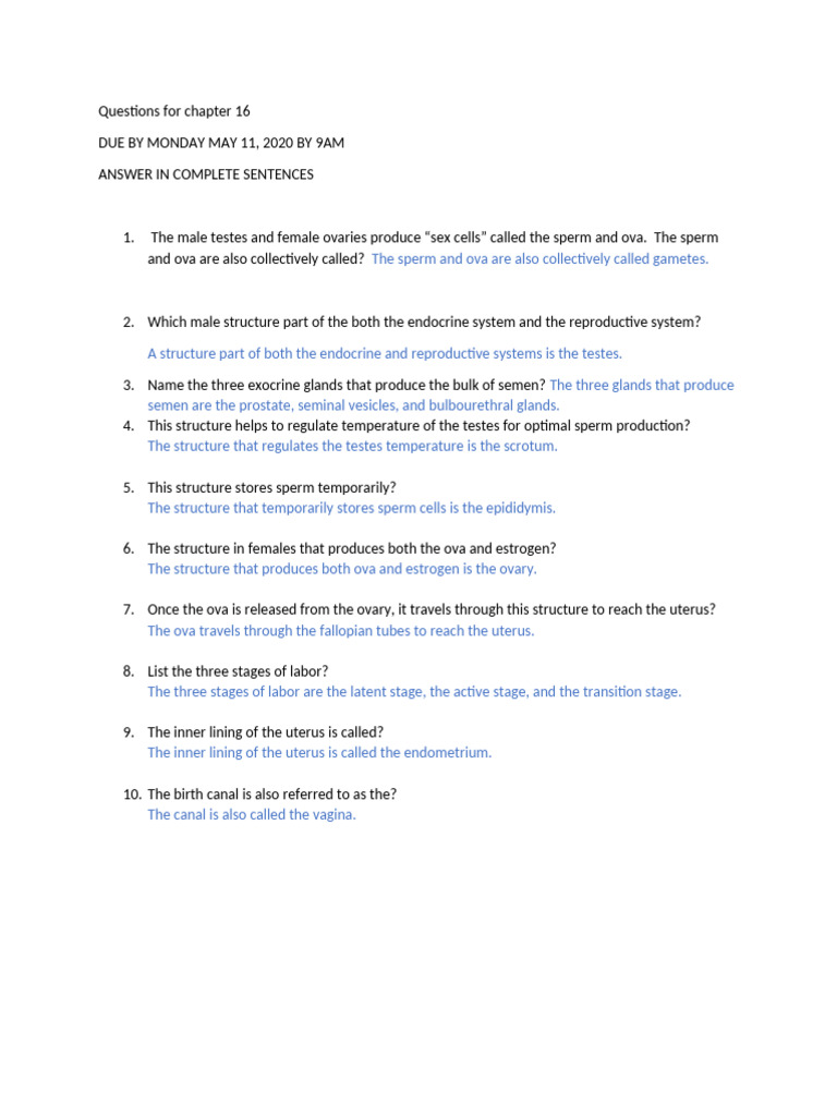 Chapter 16 Reproductive System Questions | PDF