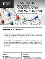 Etapas y funciones de la ontogénesis | PDF