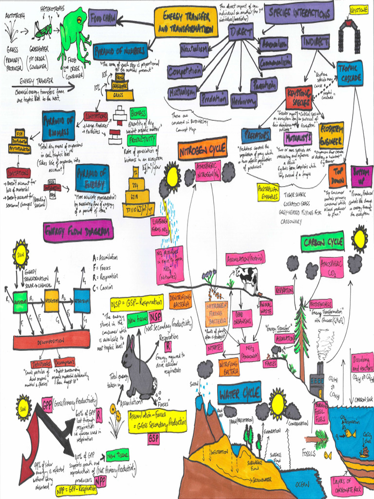 Concept Map - Energy | PDF