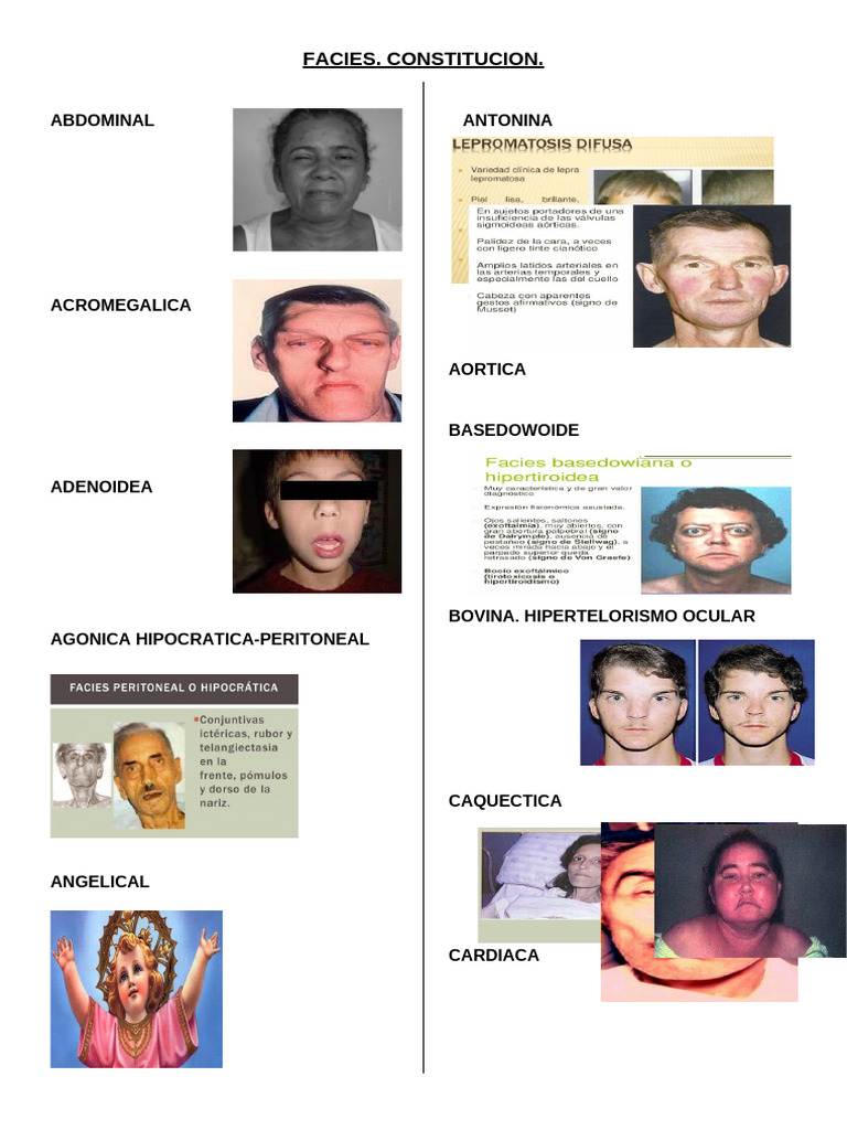 Facies y Constitución Abdominal | PDF | Hiperalimentación | Cuerpo humano