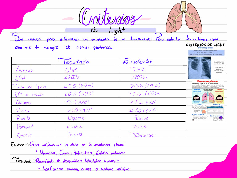 Criterios Light | PDF