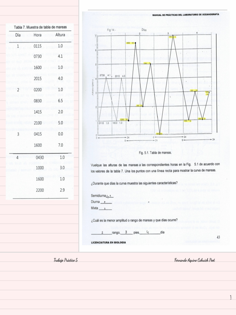 Trabajo PRC Tico 5 | PDF