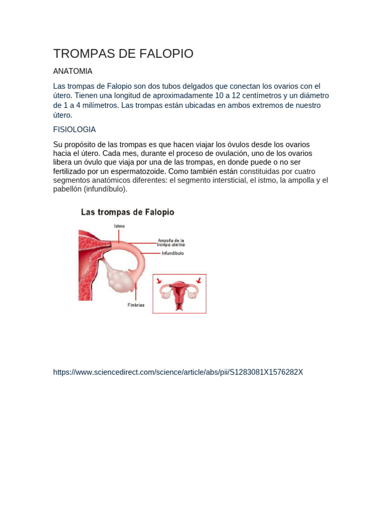 Trompas de Falopio | PDF