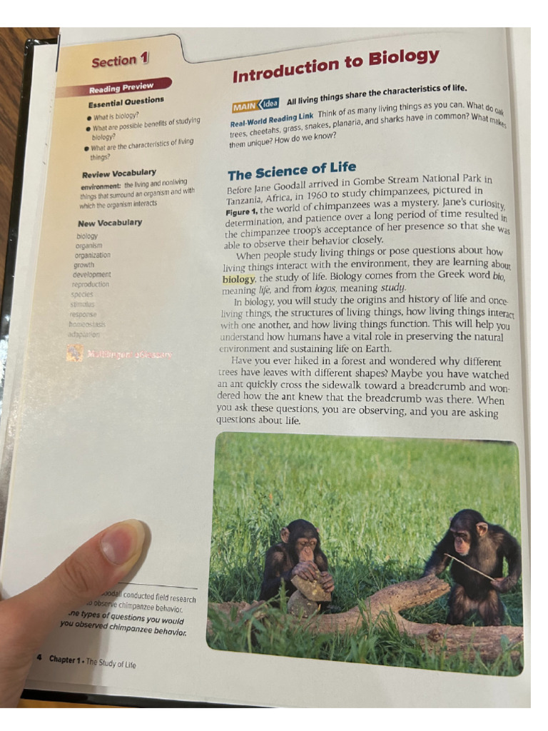 Introduction To Biology | PDF