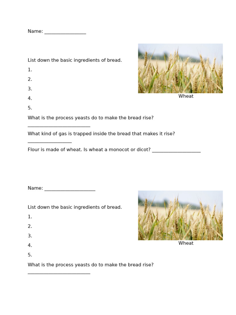 Baking Worksheet | PDF