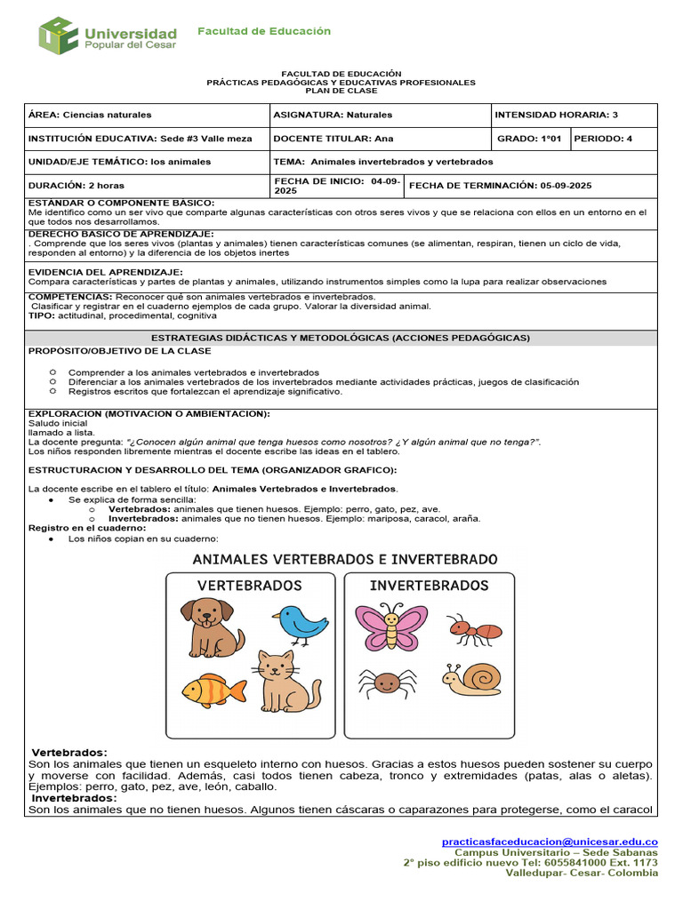 Plan de Clase: Animales Vertebrados e Invertebrados | PDF | Aprendizaje ...