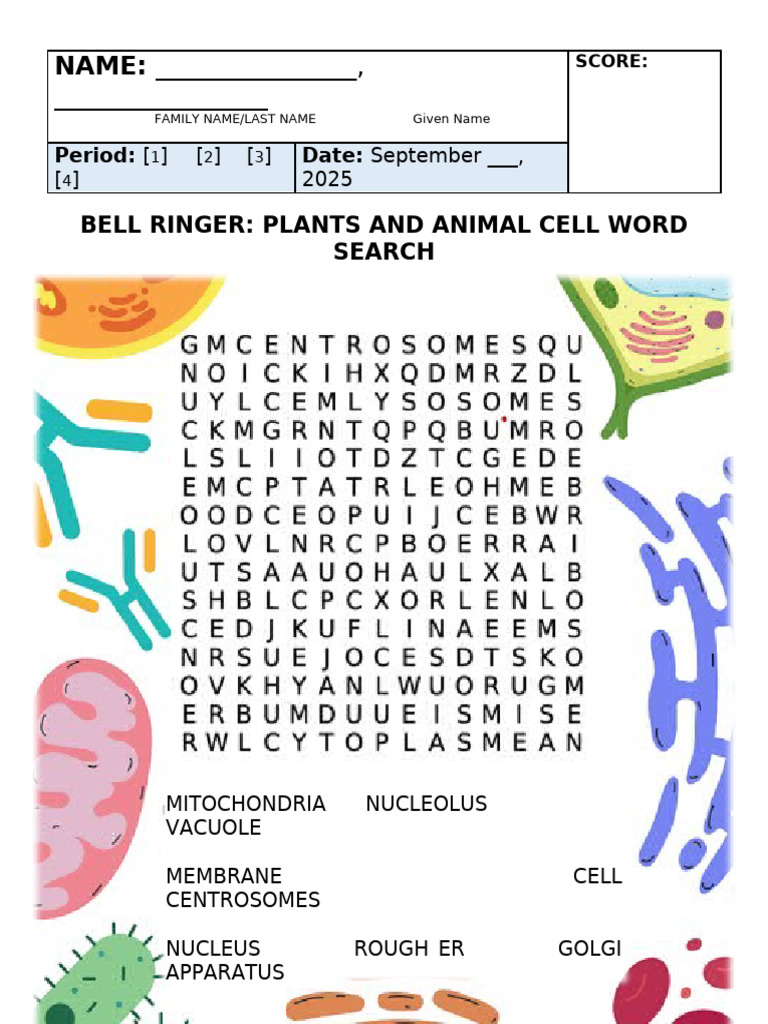 Science 6 Bell Ringer Plant and Animal Cells Word Search | PDF