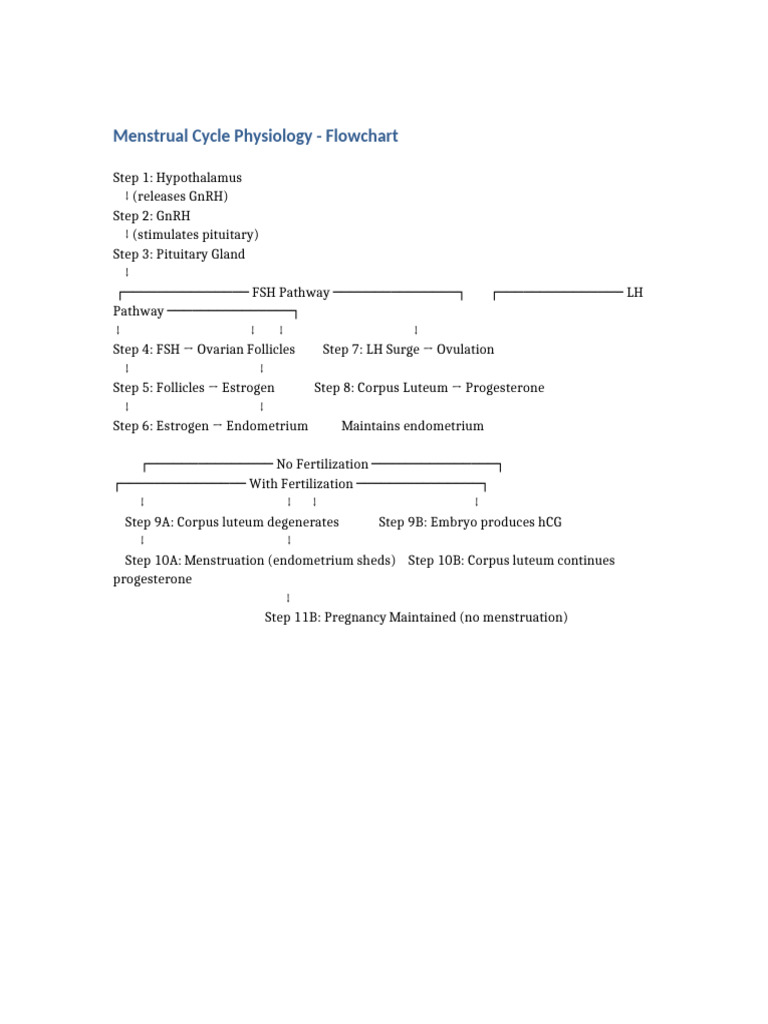 Menstrual Cycle Flowchart Explained | PDF