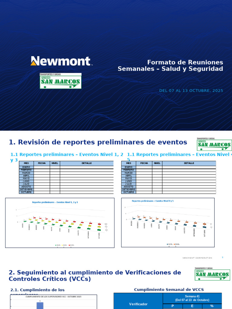 Formato de Reuniones Semanales Injection Leaching 131025 | PDF ...