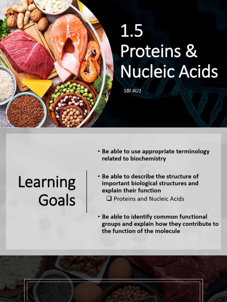 Proteins and Nucleic Acids Overview | PDF | Nucleotides | Nucleic Acids