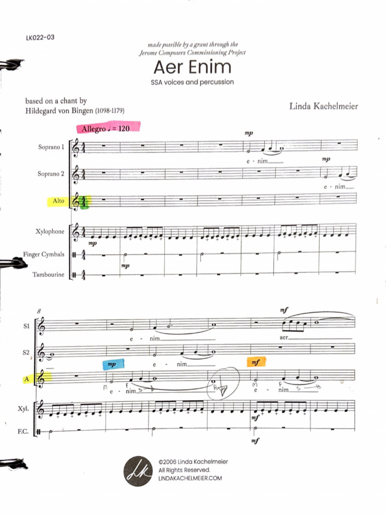 Aer Enim | PDF