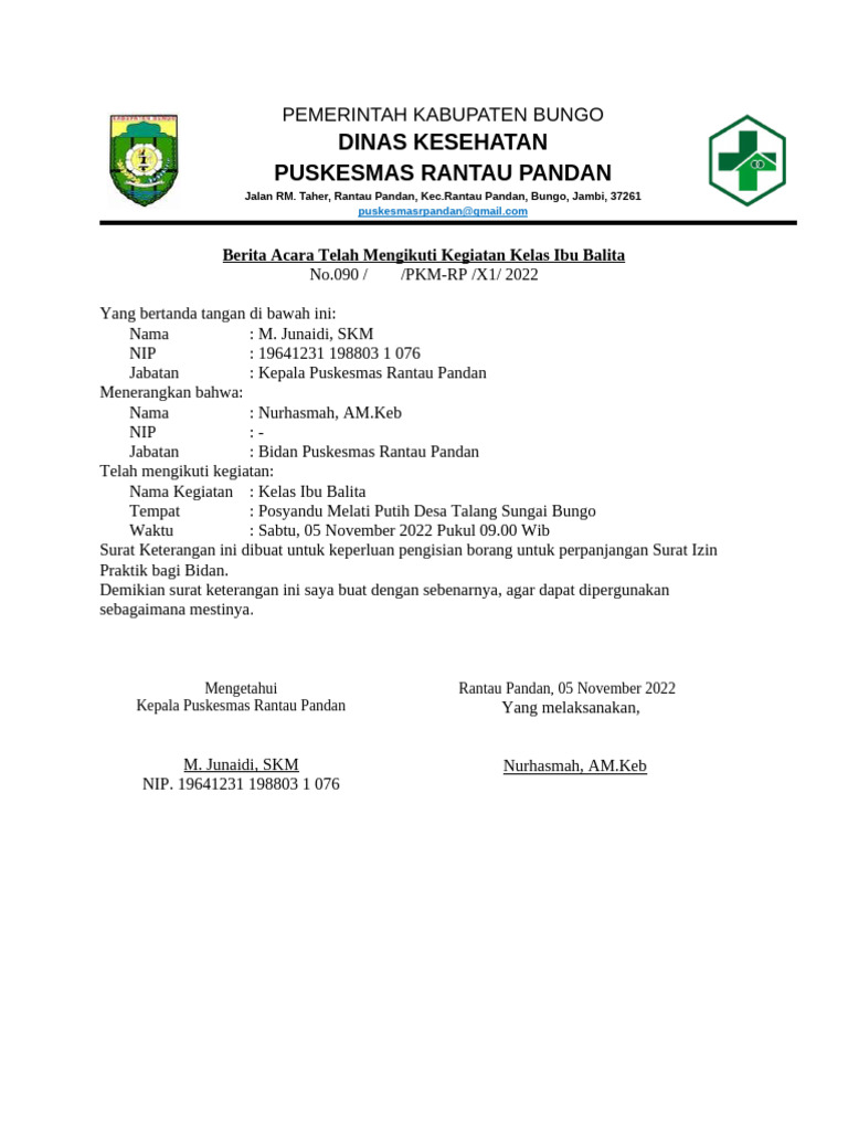 Kelas Ibu Balita Puskesmas Rantau Pandan | PDF
