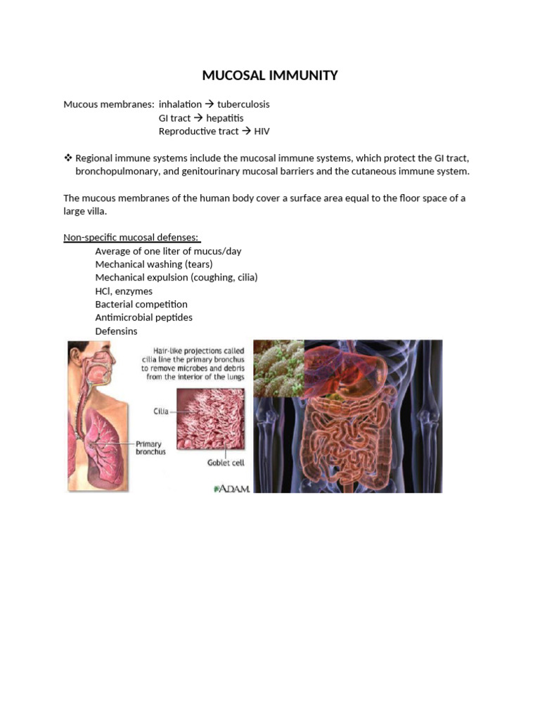 Mucosal Immunity and Gut Defense Mechanisms | PDF | Immune System ...