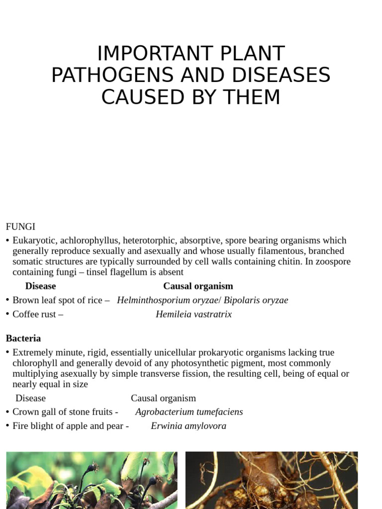 Key Plant Pathogens and Diseases | PDF | Nematode | Parasitism