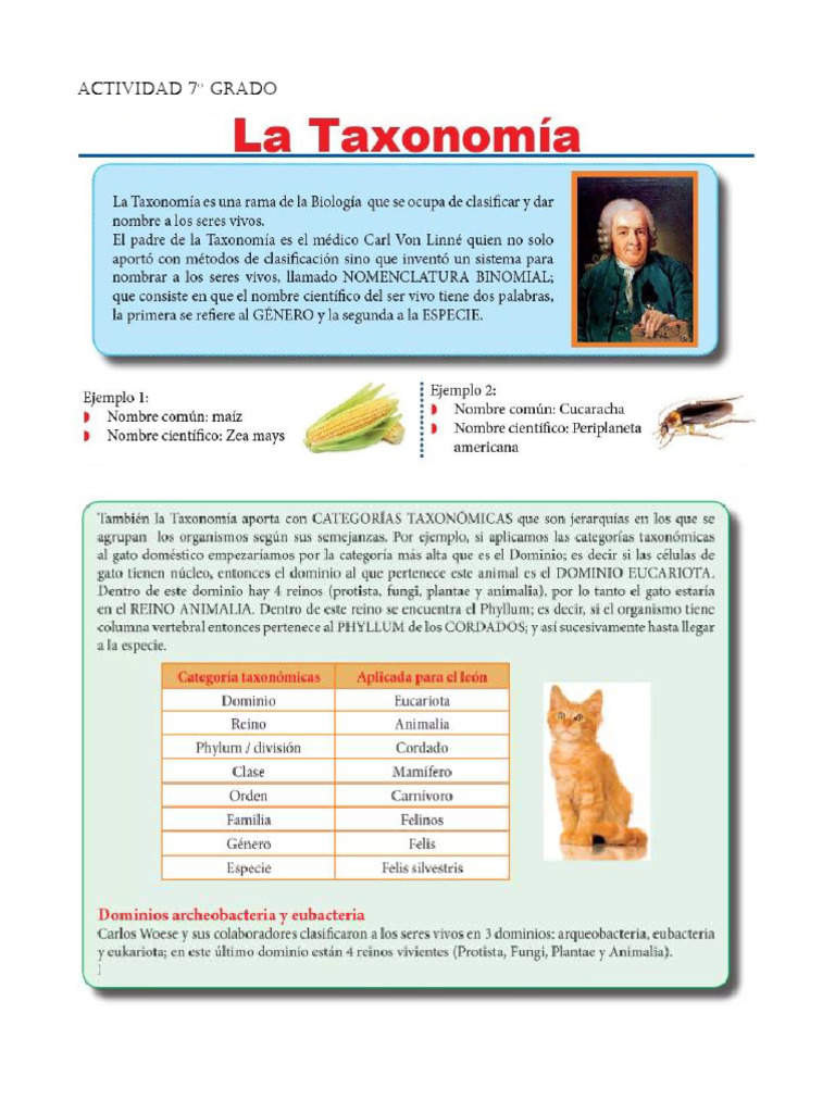 Actividad 7 Grado. Taxonomia | PDF