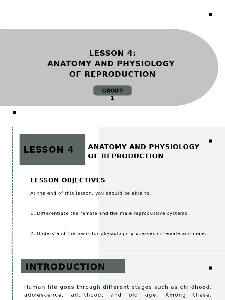 Lesson 4.anatomy and Physiology of Reproduction | PDF | Reproductive ...