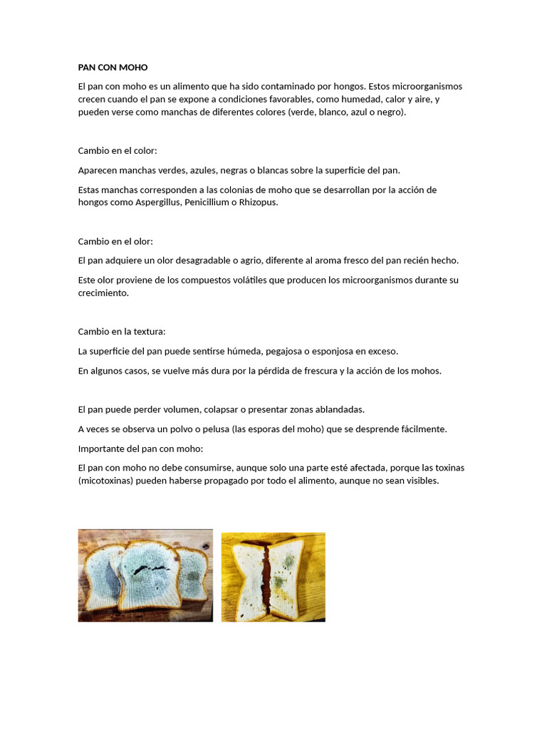 Pan Con Moho | PDF