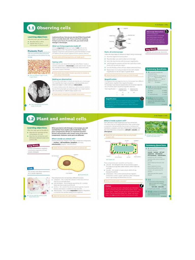 Cells Book | PDF