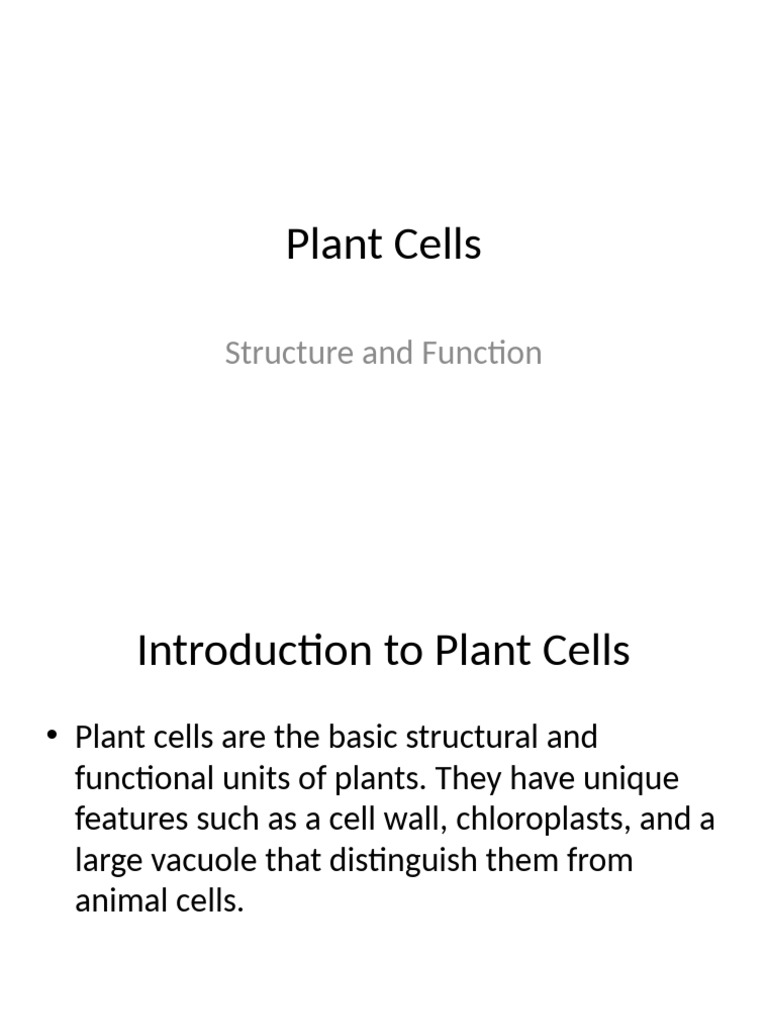 Plant Cells Presentation | PDF