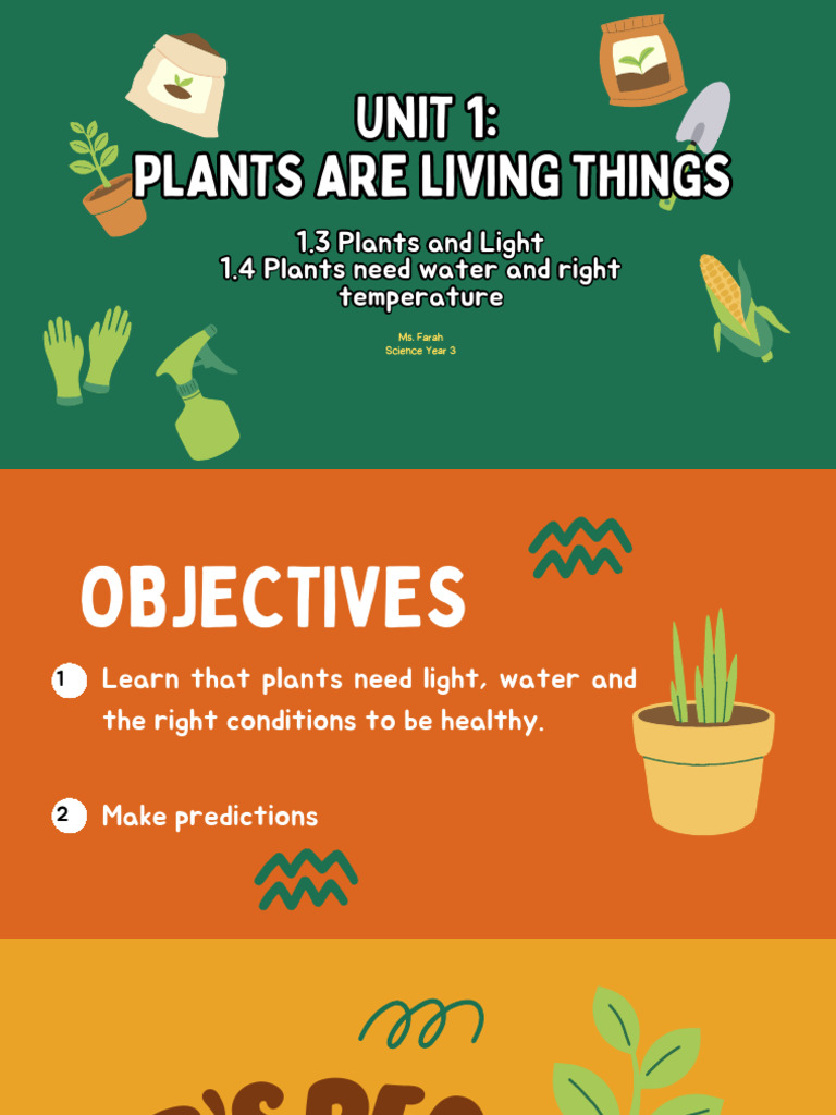 Y3 1.3 Plants and Light 1.4 Plants Need Water and Right Temperature ...