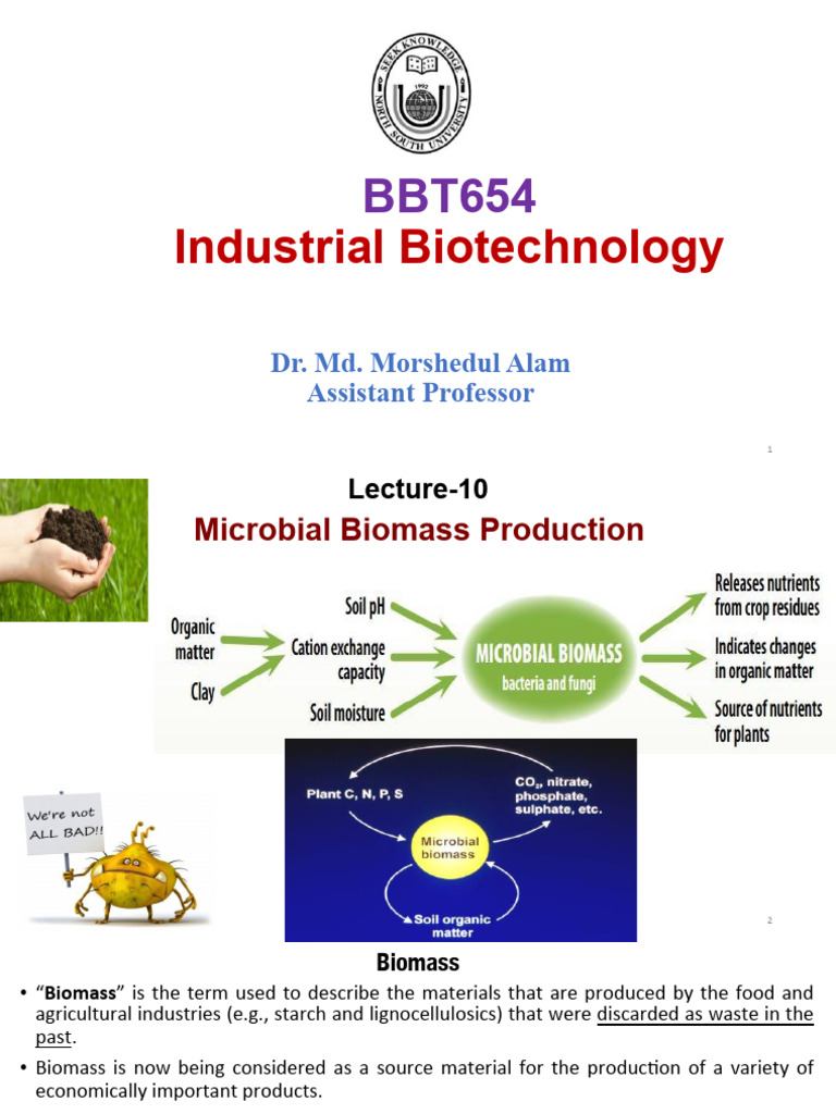 Microbial Biomass Production Overview | PDF | Fermentation | Yeast