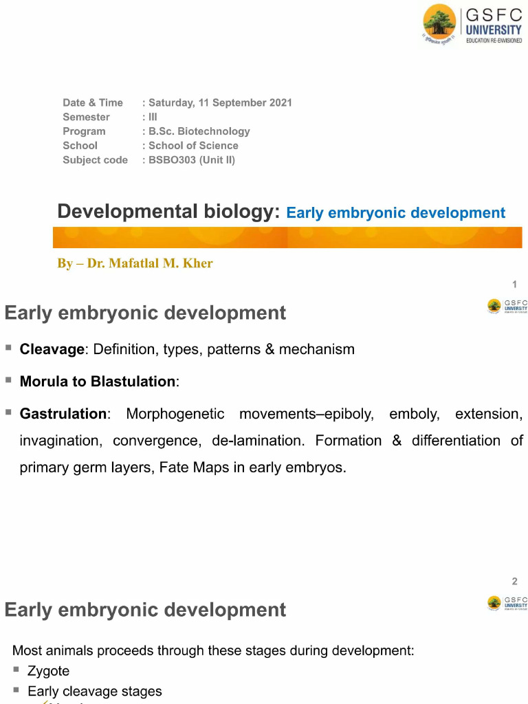 Dev Bio | PDF