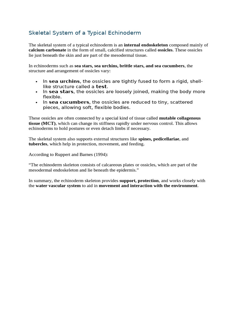 Skeletal System of A Typical Echinoderm: Sea Urchins Test Sea Stars Sea ...
