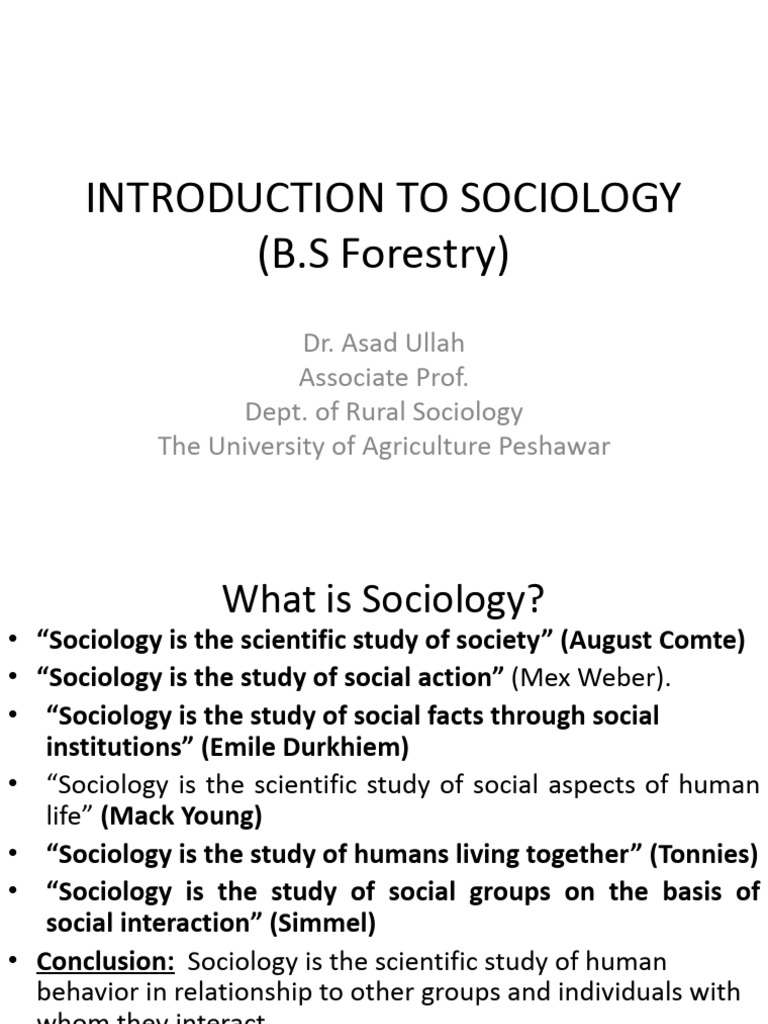 Introduction to Sociology Overview | PDF | Value (Ethics) | Scientific ...