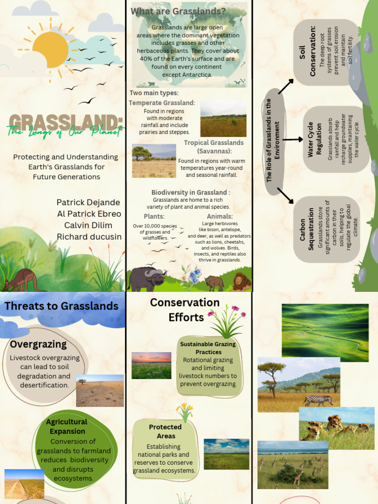 Understanding Grassland Ecosystems | PDF | Grassland | Soil