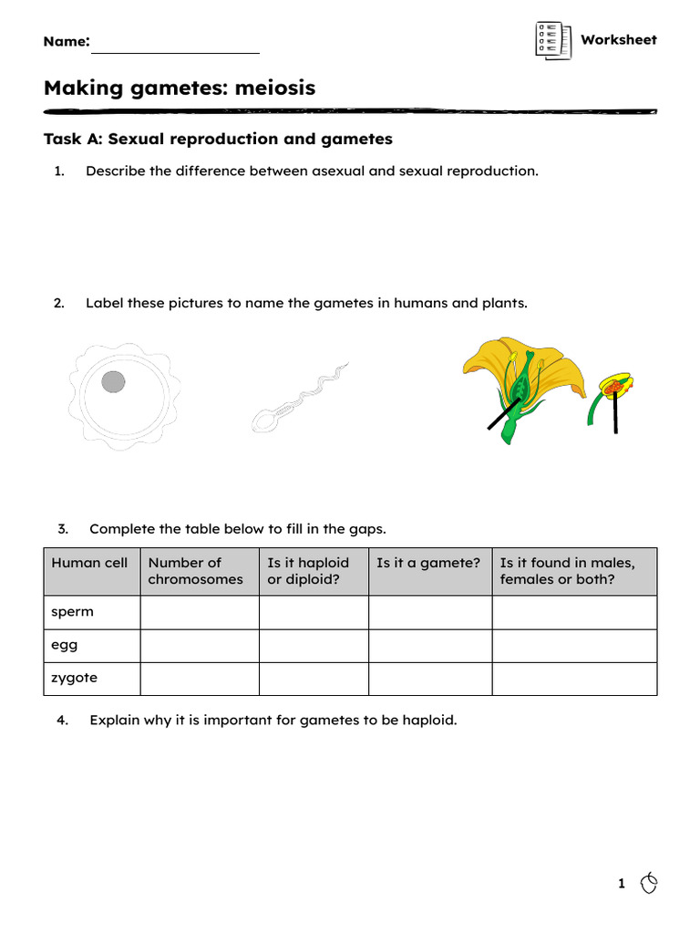 Toddle Defd87fc 8d0d 45f1 8a71 62ea25a1e544 Worksheet Questions | PDF ...