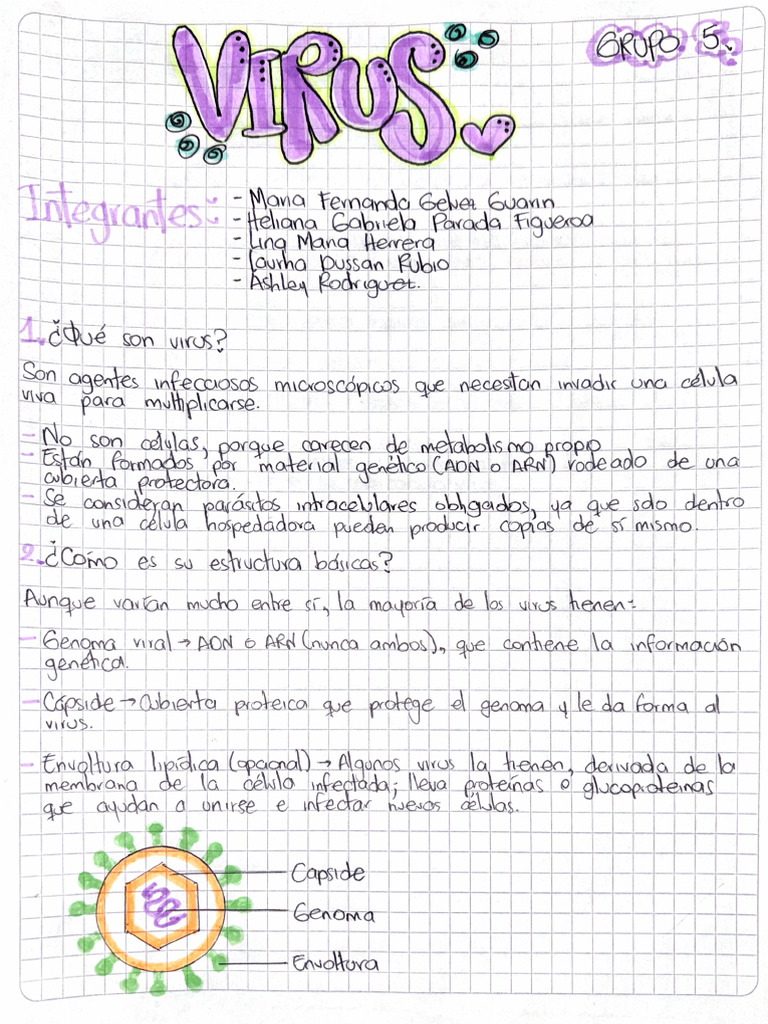 Virus | PDF
