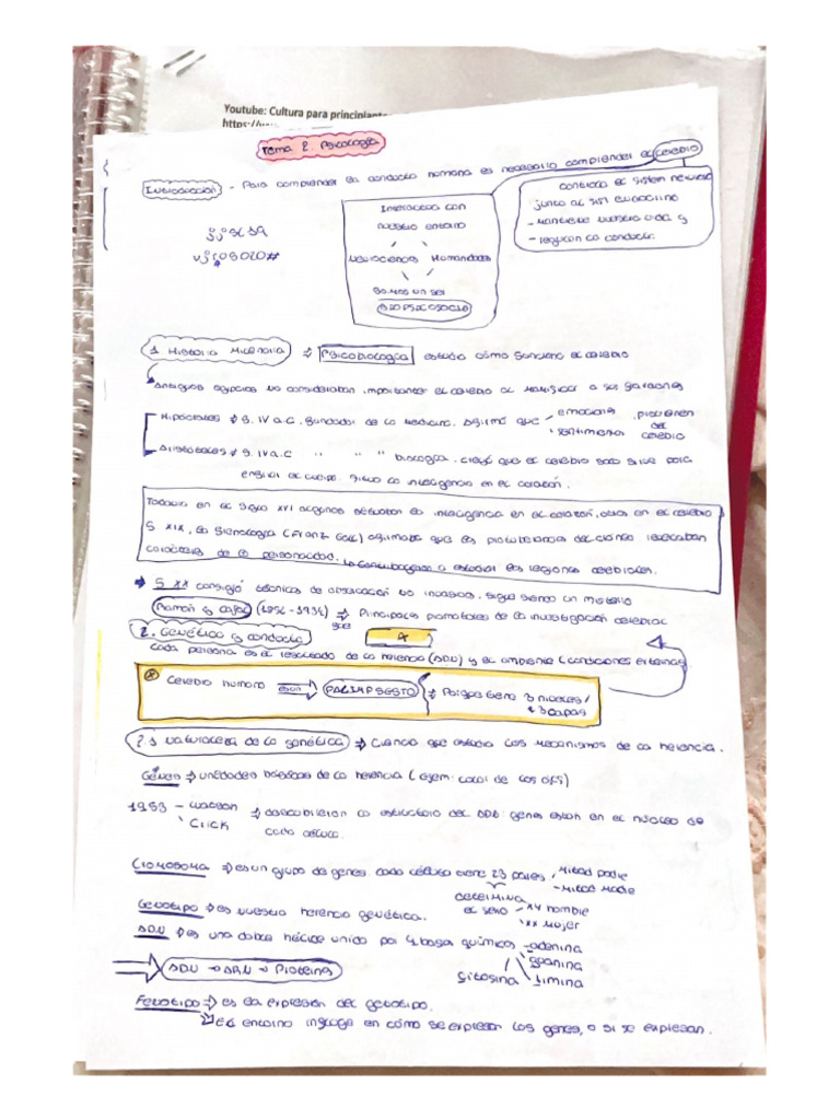 Documentos Escaneados | PDF