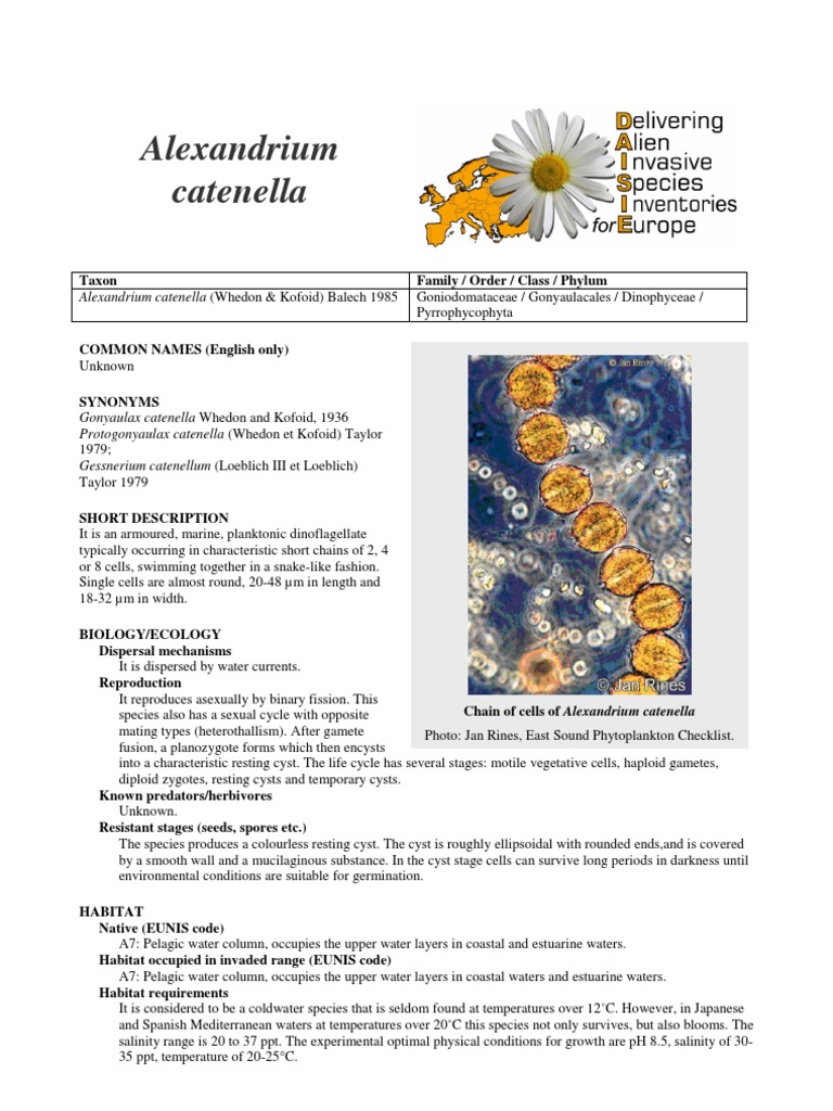 Alexandrium Catenella | PDF | Sea | Bivalvia