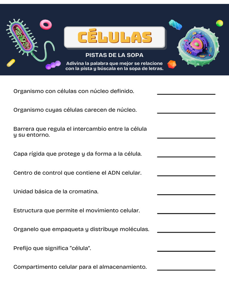 Sopa de Letras: Tipos de Células | PDF | Biología Celular) | Nucleo celular