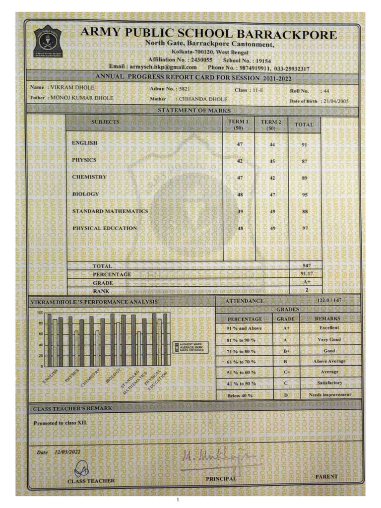 VI ClassXMarksheet 1 | PDF