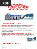 Biochemical Tests for Bacterial Identification | PDF | Catalase | Bacteria